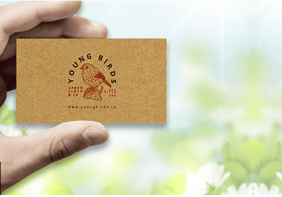 Exploring Eco-Friendly and Sustainable Paper Options for Green Printing