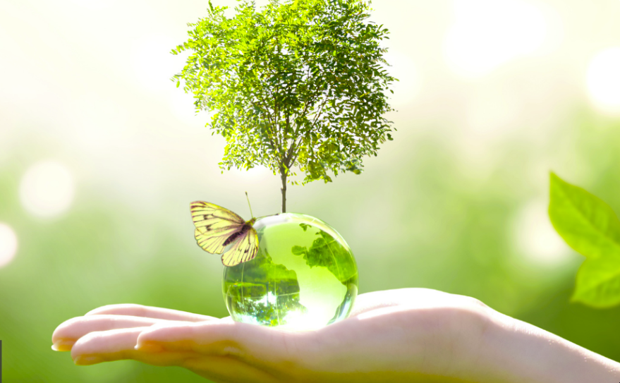 Go Green Print Solution: Eco-Friendly Printing Services & Solutions