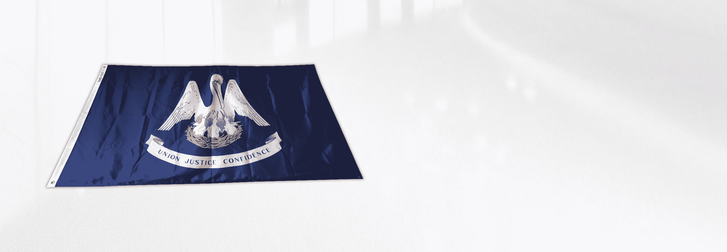 Order Polyester banners