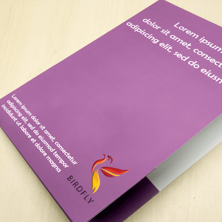 Spot UV Folders Printing