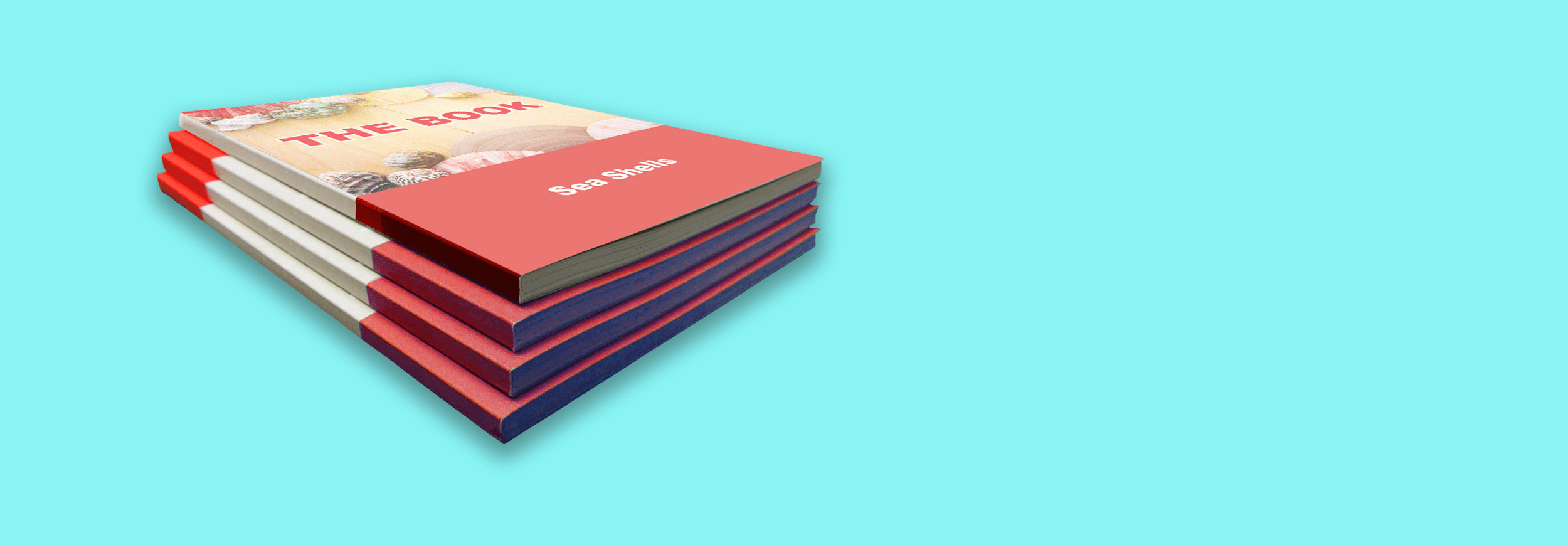 Perfect Bound Book printing Order now