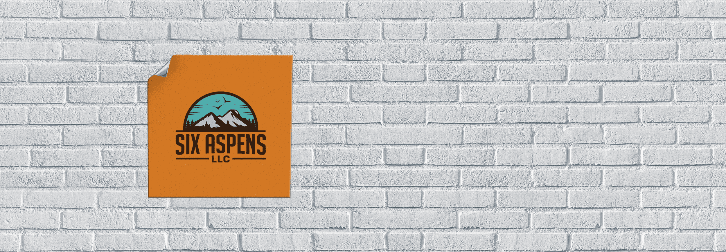 Adhesive Wall Graphic Vinyl Printing