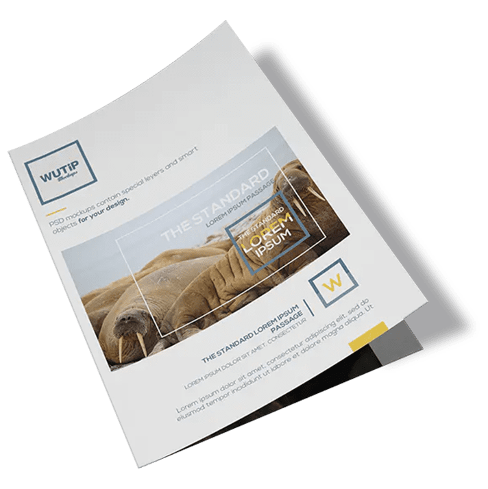 Online Custom Folded Flyers